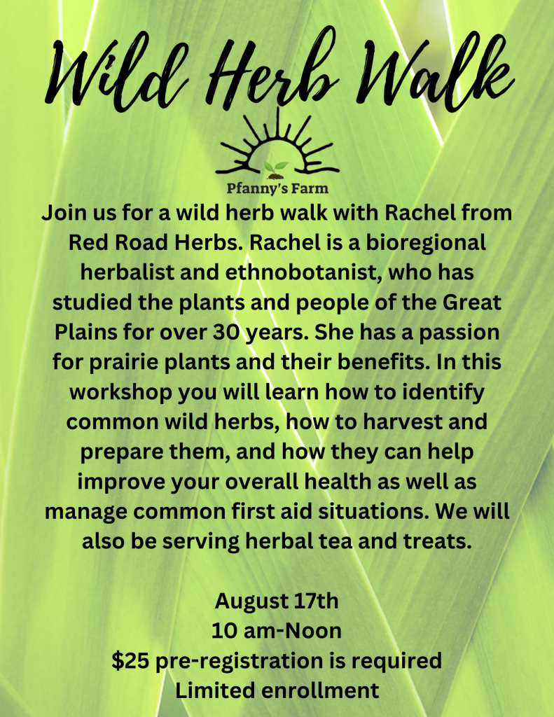 Wild Herb Walk 2024 - Pfanny's Farm